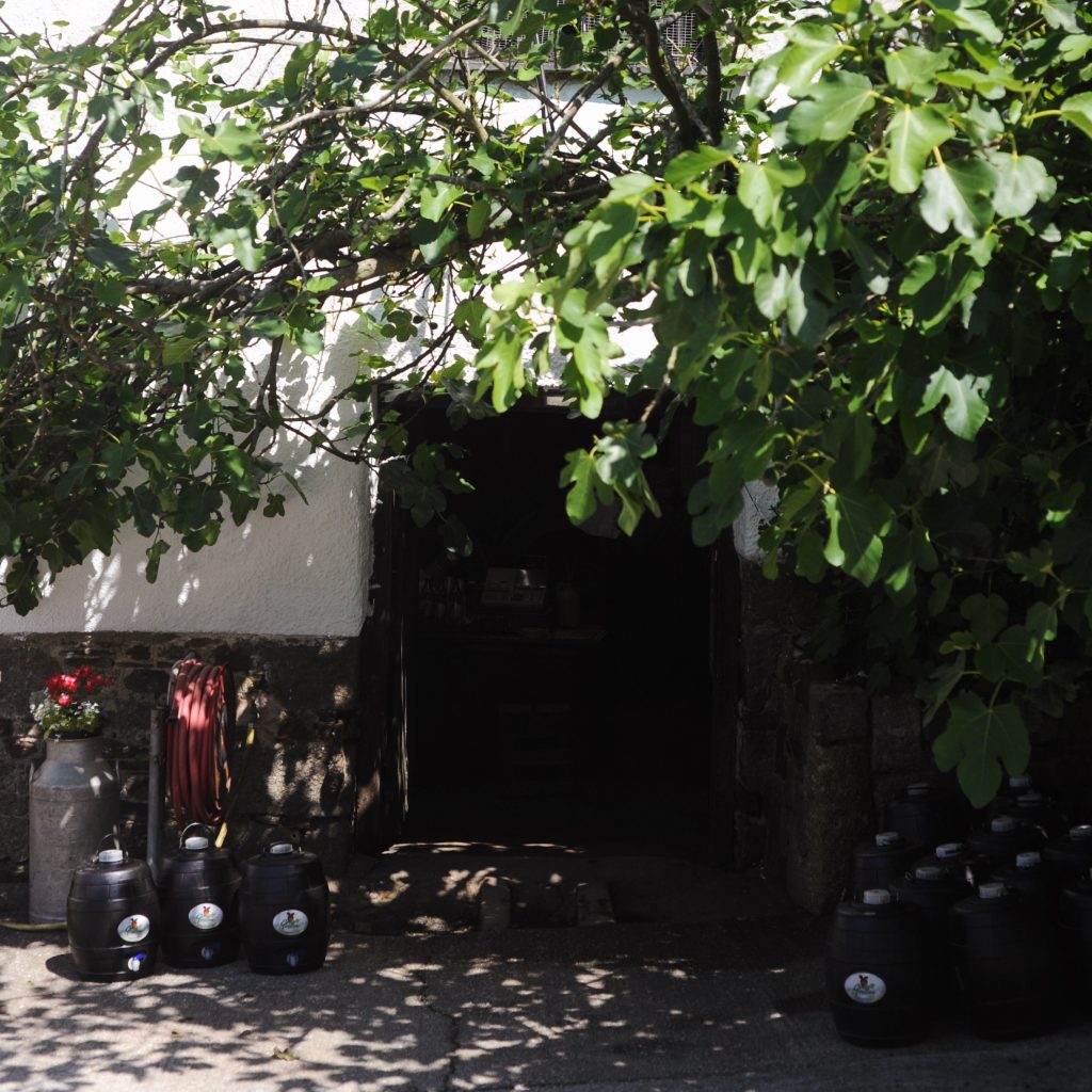 Grays Devon Cider – Cider as it should be from the heart of Devon.